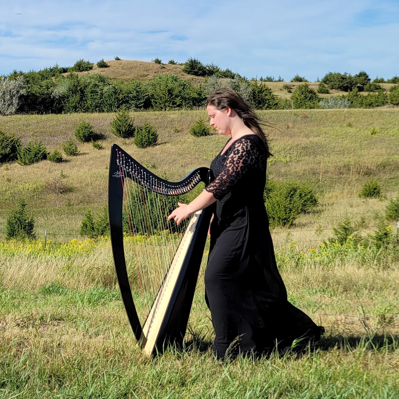 Qualities of a Good Harp Performance Dress – harpli™